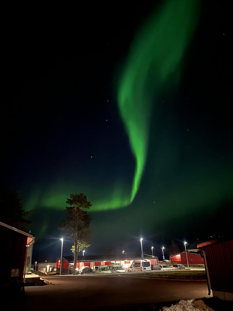 AuroraReach