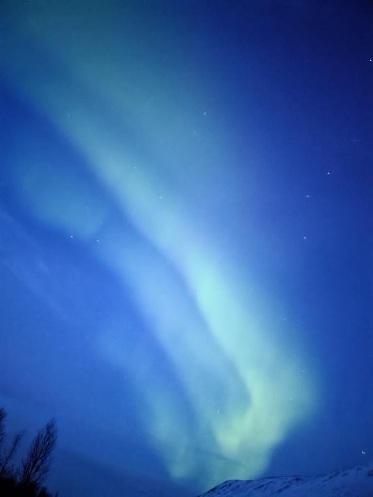 AuroraReach