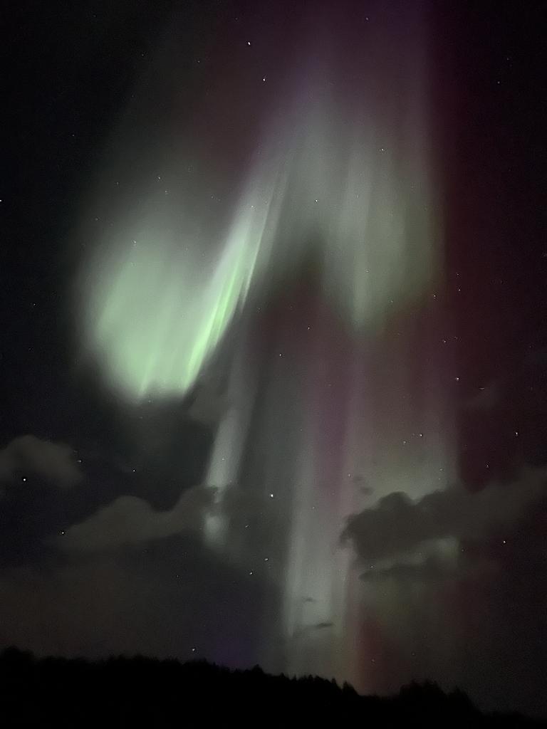 AuroraReach