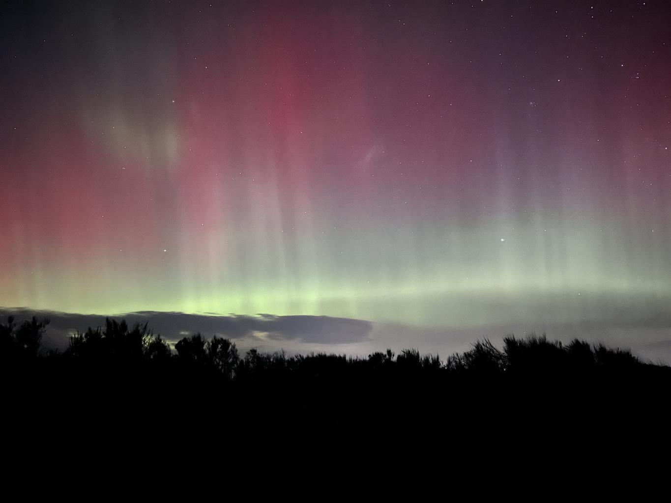 AuroraReach